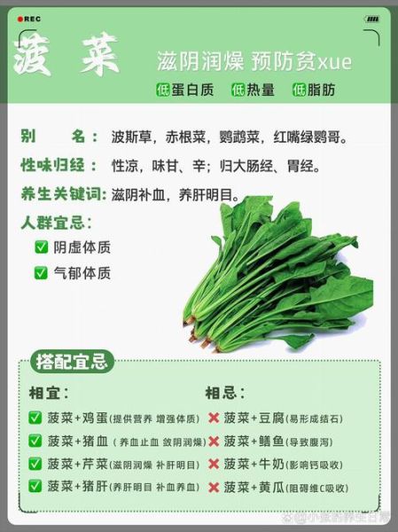 菠菜不能和什么一起吃_菠菜相克食物表-第1张图片-山城妙识
