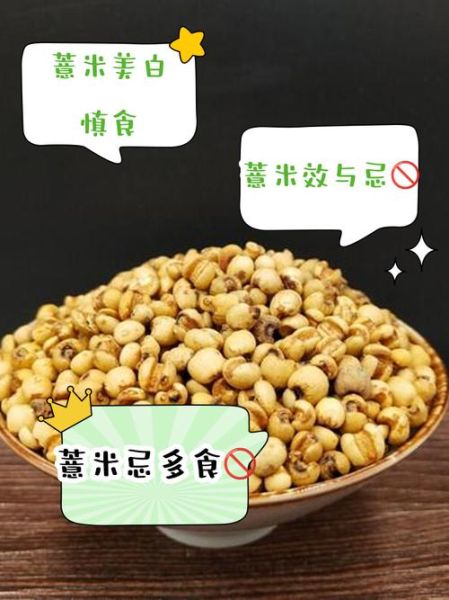 薏米可以天天吃吗_薏米有哪些禁忌人群-第3张图片-山城妙识