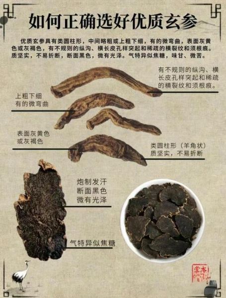 玄参的功效与作用有哪些_玄参主治什么病-第3张图片-山城妙识