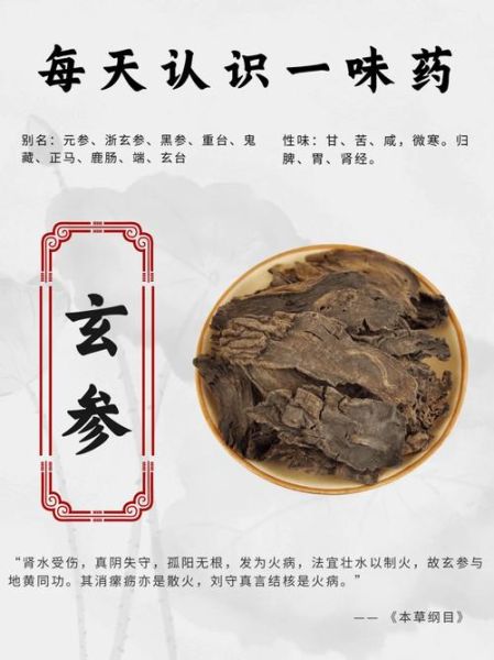 玄参的功效与作用有哪些_玄参主治什么病-第1张图片-山城妙识