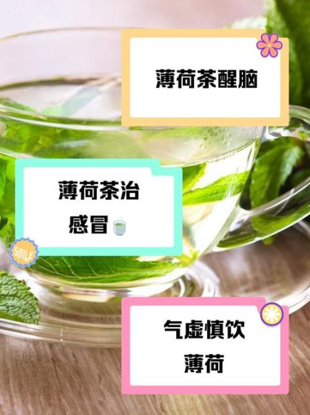 喝薄荷茶有什么好处_薄荷茶的功效与作用-第2张图片-山城妙识 喝薄荷茶有什么好处_薄荷茶的功效与作用-第2张图片-山城妙识