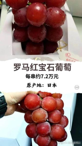 最贵的水果有哪些_为什么那么贵-第1张图片-山城妙识