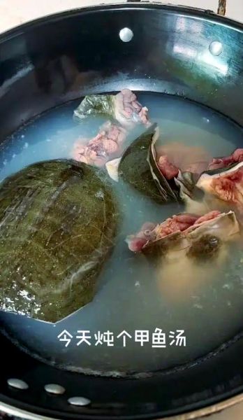 怎样炖甲鱼汤才不腥_甲鱼汤去腥技巧-第2张图片-山城妙识