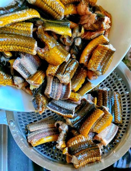 红烧黄鳝怎么做_家常爆炒黄鳝步骤-第1张图片-山城妙识 红烧黄鳝怎么做_家常爆炒黄鳝步骤-第1张图片-山城妙识