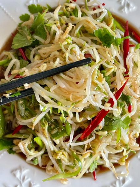 拌绿豆芽凉菜怎么做才脆_绿豆芽焯水多久口感最好-第2张图片-山城妙识