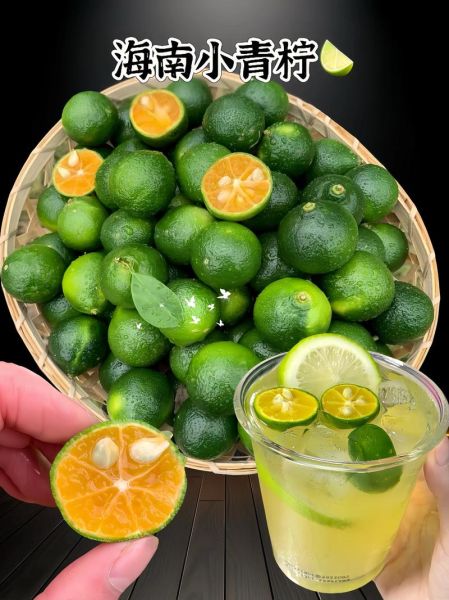 止咳用金桔还是青金桔_哪个效果更好-第1张图片-山城妙识