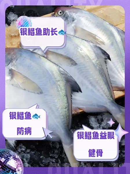 银鲳鱼的营养价值_银鲳鱼的功效与作用-第1张图片-山城妙识 银鲳鱼的营养价值_银鲳鱼的功效与作用-第1张图片-山城妙识