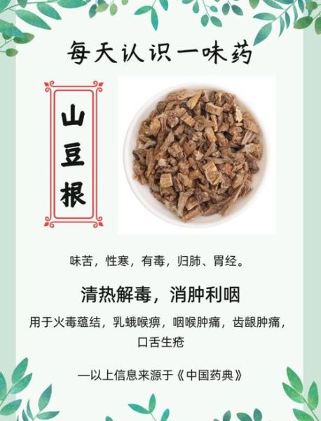 山豆根的功效与作用_山豆根能治什么病-第1张图片-山城妙识