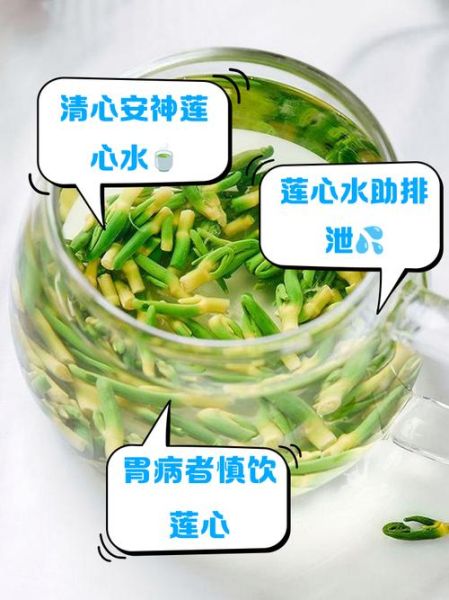 莲子心泡水有什么好处_莲子心泡水能天天喝吗-第3张图片-山城妙识