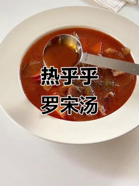 苏伯汤和罗宋汤的区别_哪个更好喝-第2张图片-山城妙识