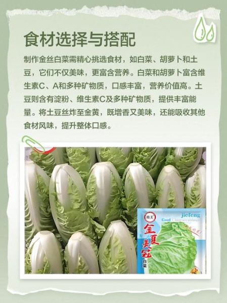 金边白菜为什么吃不到_金边白菜哪里能吃到-第1张图片-山城妙识
