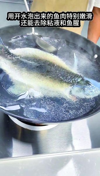 盐水鱼怎么养_盐水鱼图片大全-第2张图片-山城妙识