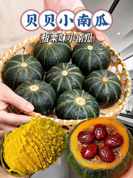 贝贝小南瓜怎么挑选_贝贝小南瓜热量高吗-第3张图片-山城妙识