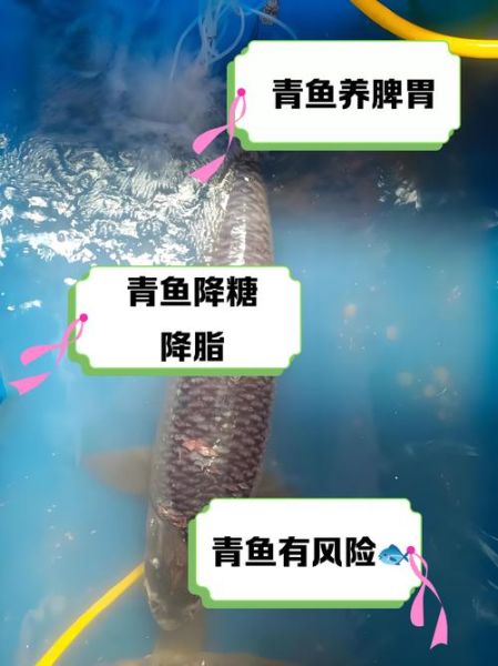 青鱼刺多吗_青鱼适合孩子吃吗-第3张图片-山城妙识