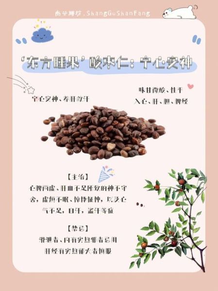 炒酸枣仁的功效与作用_失眠多梦能吃吗-第3张图片-山城妙识