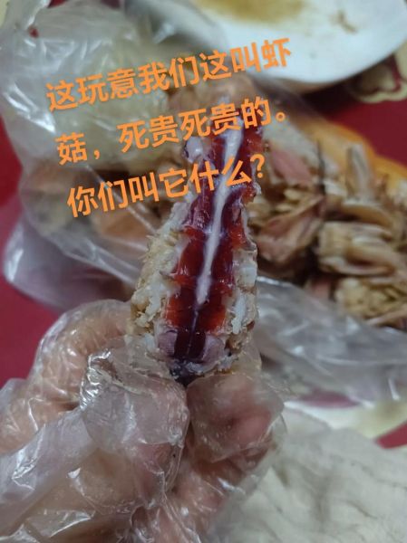 撒尿虾怎么剥_撒尿虾剥壳技巧-第1张图片-山城妙识