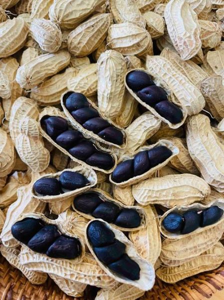 水果花生和普通花生的区别_哪个营养价值更高-第3张图片-山城妙识