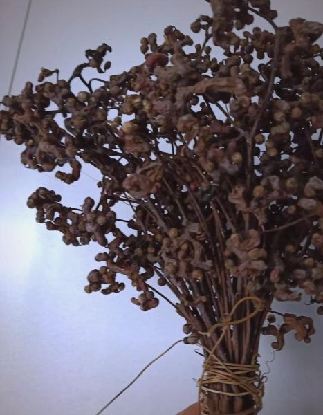 鸡爪梨怎么吃最好_鸡爪梨的正确吃法-第3张图片-山城妙识