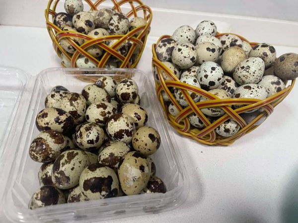 卤鹌鹑蛋怎么做好吃_卤鹌鹑蛋要煮多久才入味-第1张图片-山城妙识