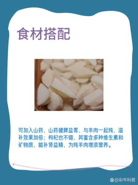 炖羊肉放什么调料_炖羊肉最忌讳的调料-第1张图片-山城妙识