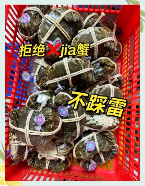 阳澄湖大闸蟹怎么辨别真假_正宗产地特征-第1张图片-山城妙识