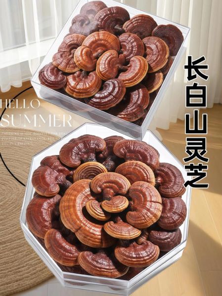 人工灵芝多少钱一斤_人工灵芝价格影响因素-第3张图片-山城妙识