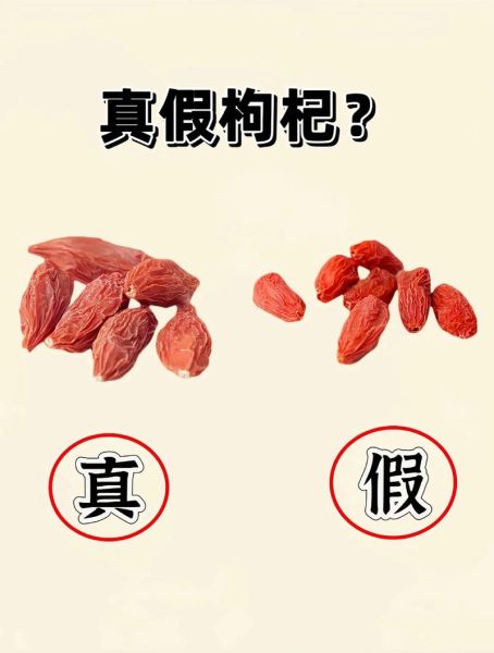 枸杞图片大全高清图片_枸杞怎么辨别真假-第2张图片-山城妙识 枸杞图片大全高清图片_枸杞怎么辨别真假-第2张图片-山城妙识