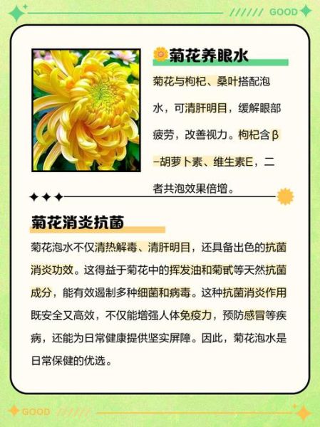 菊花的功效与作用是什么_菊花泡水喝有什么好处-第3张图片-山城妙识 菊花的功效与作用是什么_菊花泡水喝有什么好处-第3张图片-山城妙识
