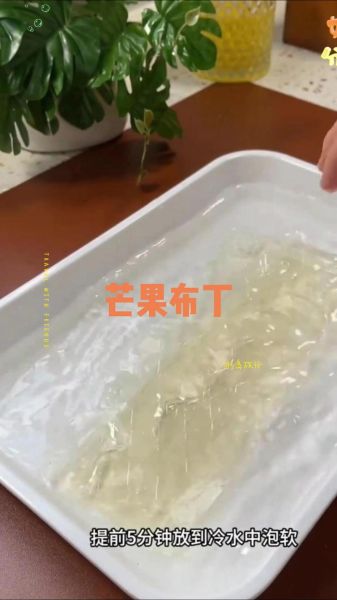 吉利丁片可以做什么甜品_吉利丁片怎么用-第1张图片-山城妙识
