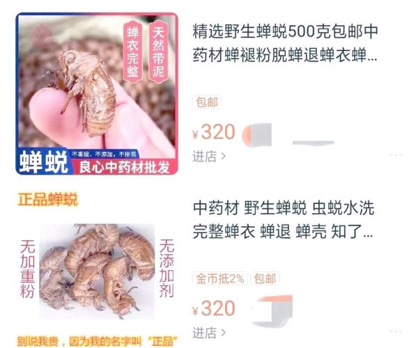 知了壳有什么功效_知了壳能治什么病-第3张图片-山城妙识