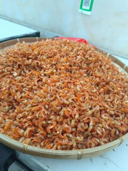 海米是什么_海米图片长什么样-第1张图片-山城妙识