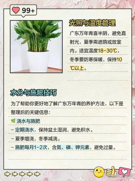 万年青怎么养_万年青养殖注意事项-第2张图片-山城妙识