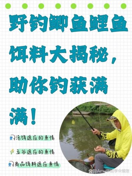 野钓大鲫鱼怎么选钓位_野钓大鲫鱼用什么饵料-第2张图片-山城妙识