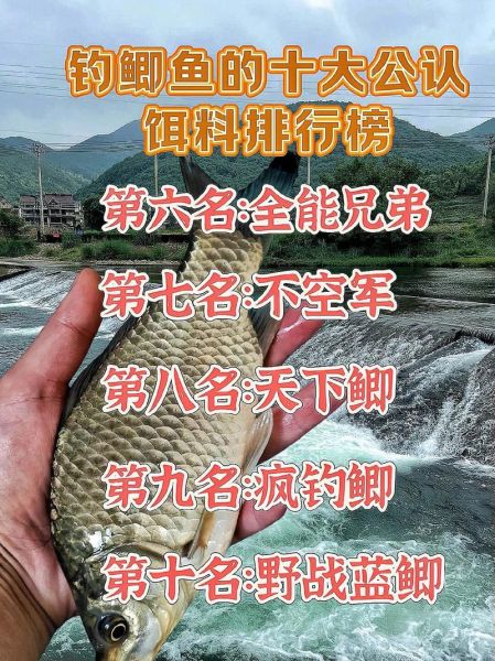 野钓大鲫鱼怎么选钓位_野钓大鲫鱼用什么饵料-第1张图片-山城妙识