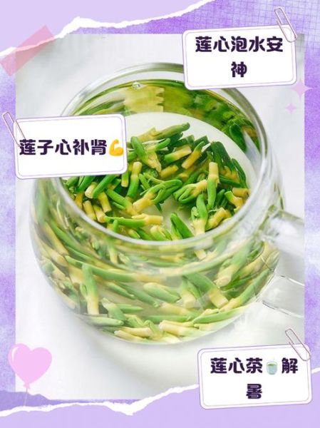 莲子心泡水喝能减肥吗_莲子心减肥的正确喝法-第3张图片-山城妙识