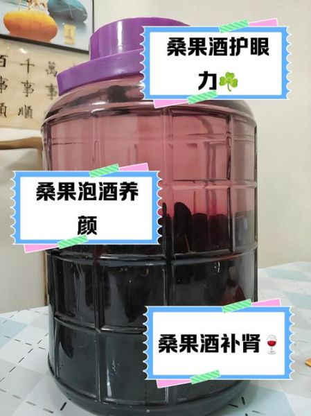 桑果泡酒喝的功效与作用_桑果泡酒怎么泡效果最好-第1张图片-山城妙识