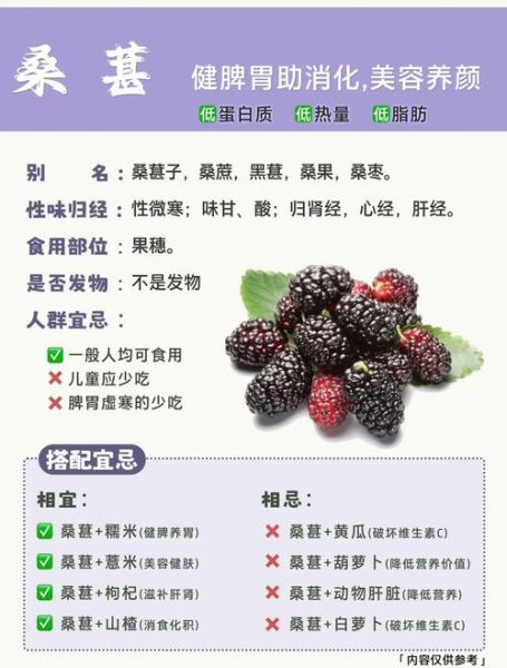 桑葚怎么吃最好_桑葚一天吃多少合适-第1张图片-山城妙识 桑葚怎么吃最好_桑葚一天吃多少合适-第1张图片-山城妙识