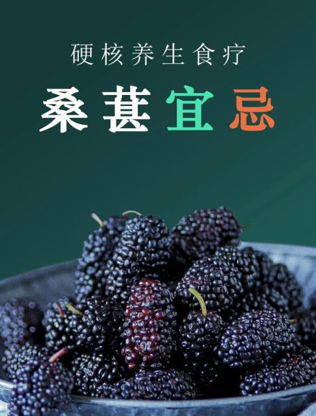 桑葚怎么吃最好_桑葚一天吃多少合适-第2张图片-山城妙识 桑葚怎么吃最好_桑葚一天吃多少合适-第2张图片-山城妙识