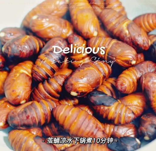 干煸茧蛹怎么做_干煸茧蛹好吃吗-第3张图片-山城妙识
