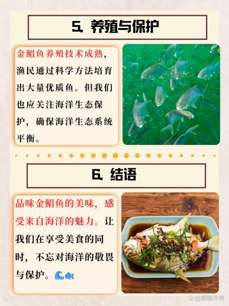 金鲳鱼是海鱼还是淡水鱼_金鲳鱼养殖环境揭秘-第2张图片-山城妙识