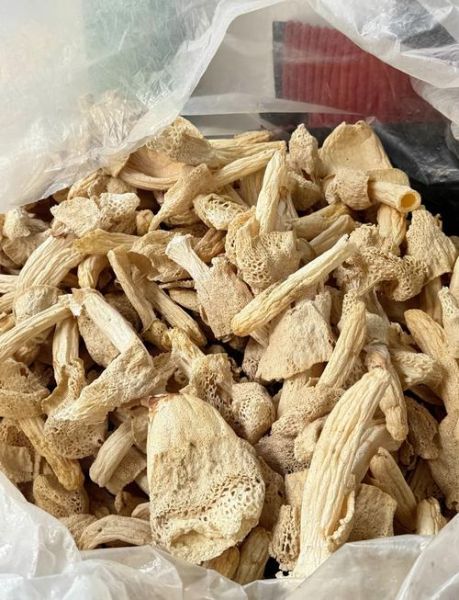 竹荪菌图片_竹荪菌怎么挑选-第1张图片-山城妙识 竹荪菌图片_竹荪菌怎么挑选-第1张图片-山城妙识