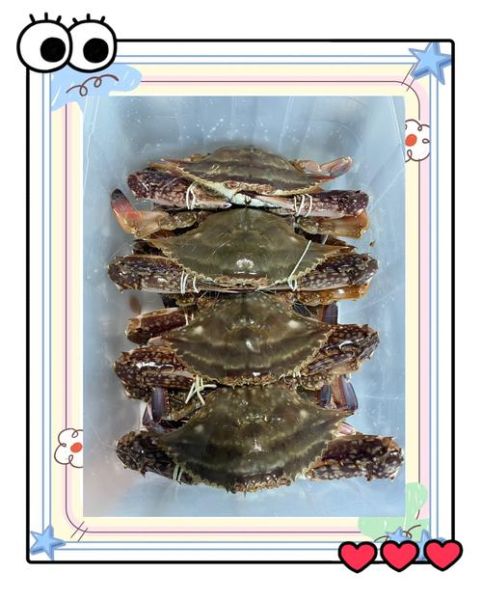 螃蟹汁怎么调_螃蟹蘸汁配方大全-第3张图片-山城妙识 螃蟹汁怎么调_螃蟹蘸汁配方大全-第3张图片-山城妙识