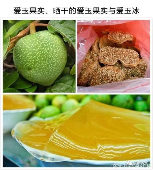 爱玉怎么保存_爱玉的功效与作用-第1张图片-山城妙识
