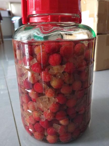 杨梅酒怎么做_自制杨梅酒用什么酒好-第3张图片-山城妙识 杨梅酒怎么做_自制杨梅酒用什么酒好-第3张图片-山城妙识