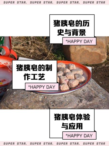 猪胰子皂的功效与作用_猪胰子皂怎么做-第1张图片-山城妙识