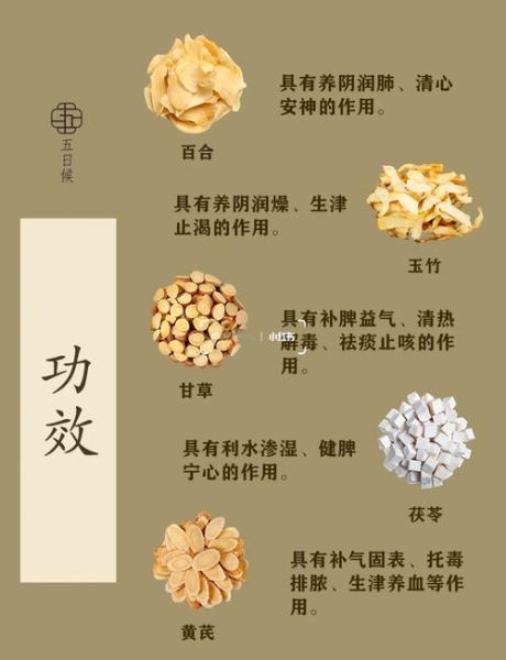 茯苓的功效与作用及食用方法_茯苓怎么吃效果最好-第1张图片-山城妙识 茯苓的功效与作用及食用方法_茯苓怎么吃效果最好-第1张图片-山城妙识