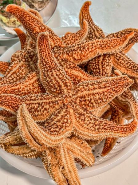 吃海星禁忌_哪些人不能吃海星-第2张图片-山城妙识