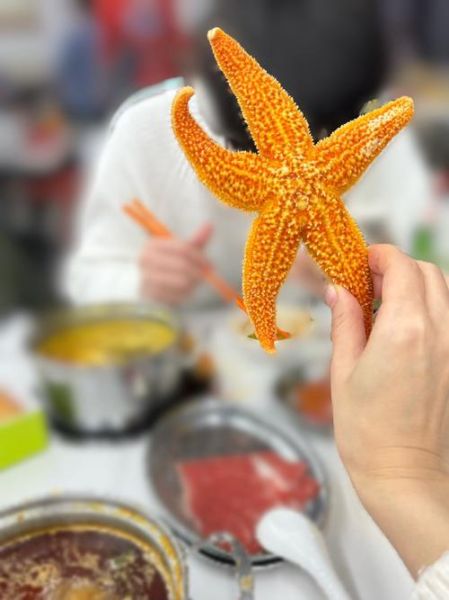 吃海星禁忌_哪些人不能吃海星-第3张图片-山城妙识