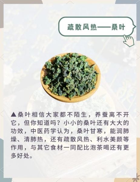 桑叶的功效与作用_桑叶怎么吃效果最好-第3张图片-山城妙识 桑叶的功效与作用_桑叶怎么吃效果最好-第3张图片-山城妙识
