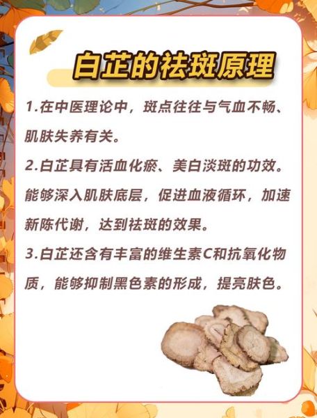 白芷祛斑的危害_白芷祛斑的副作用有哪些-第1张图片-山城妙识